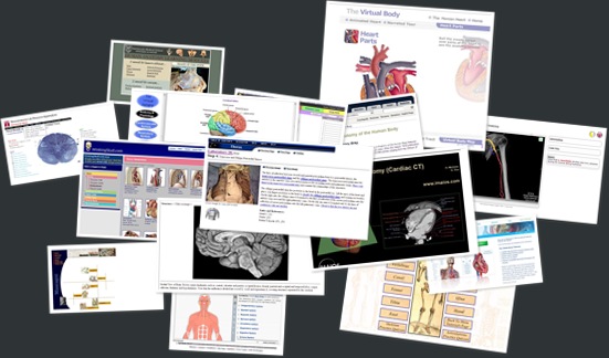 Medicine Decoded: Collection of 17 Essential Anatomy Websites4U.